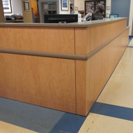 Function-Wall Modular Nurse Station